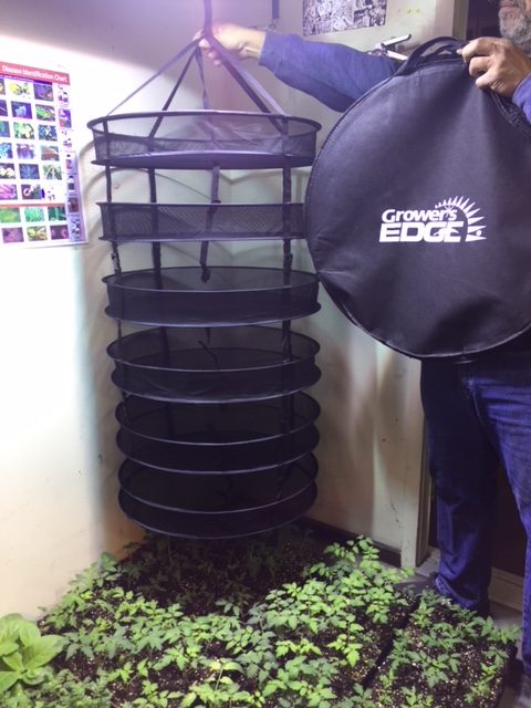 Growing, Blending and Brewing Herbal Teas