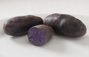 Organic Seed Potatoes